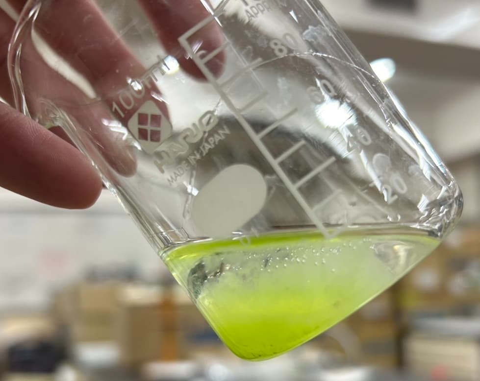 名古屋南高校生物化学部
