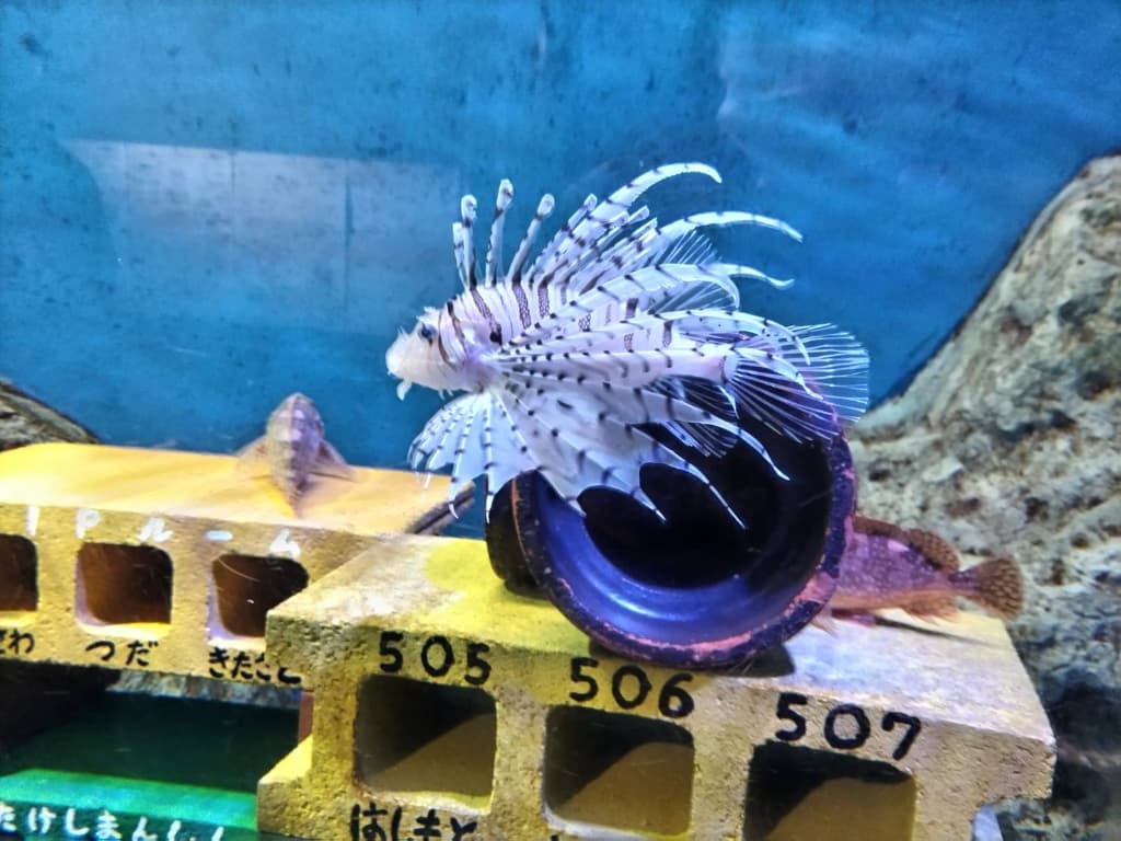 名古屋南高校生物化学部