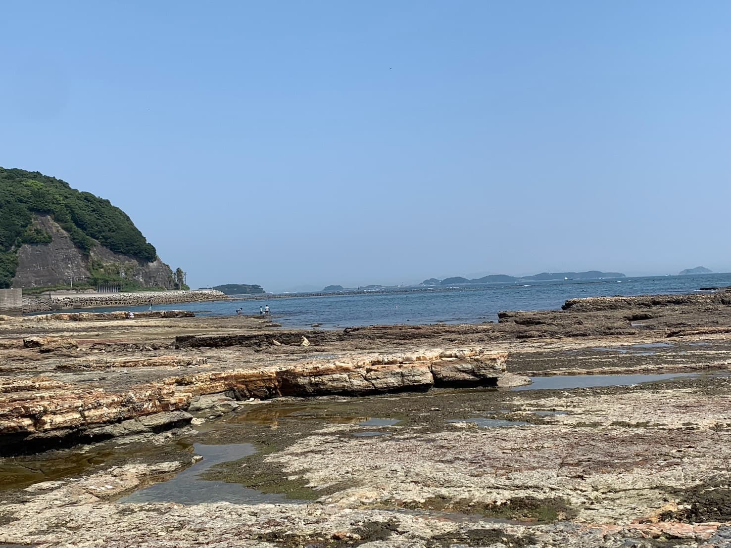 名古屋南高校生物化学部